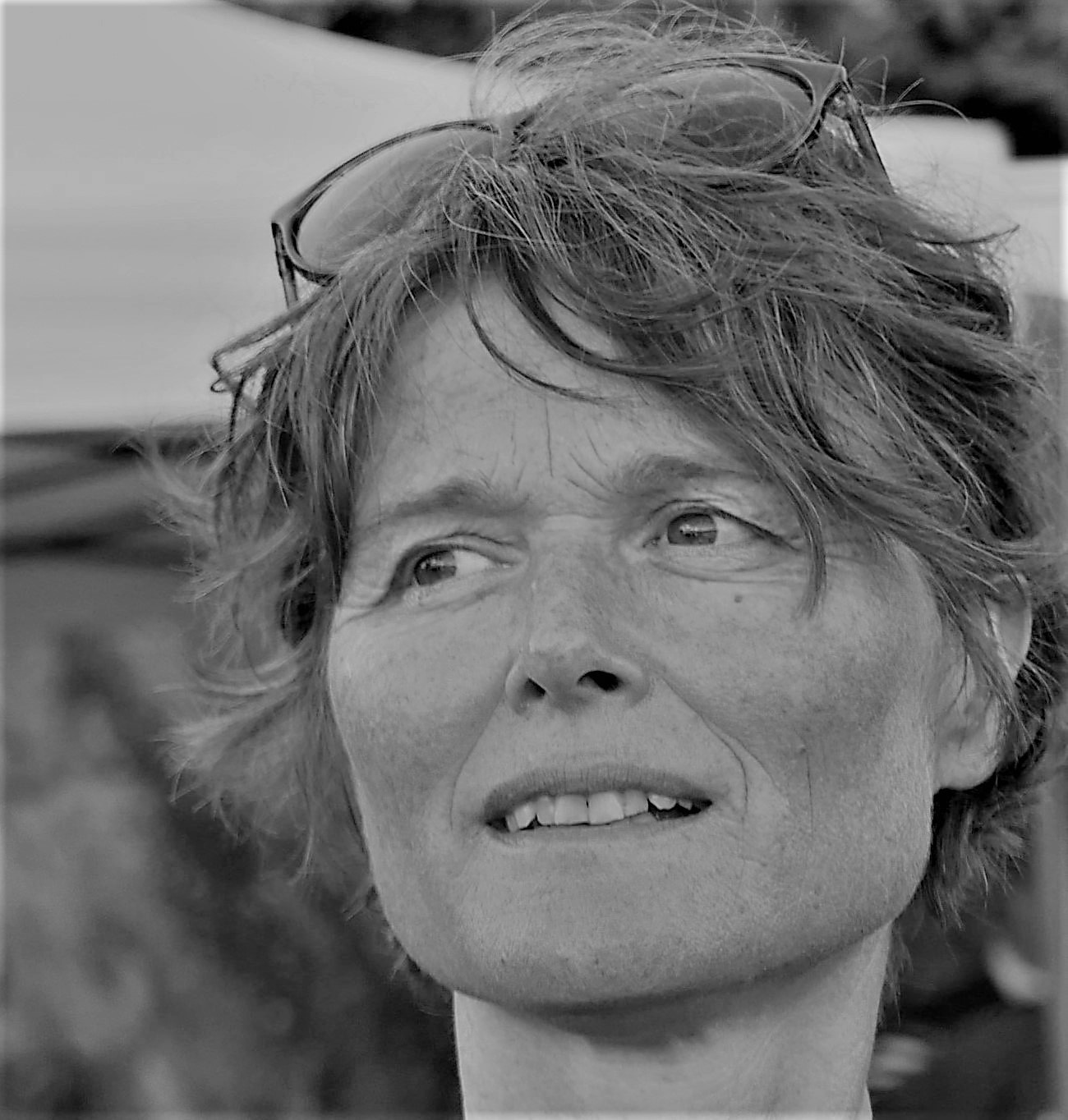 Team | Sociable Weaver Project