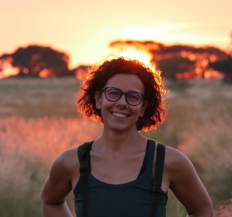 Team | Sociable Weaver Project