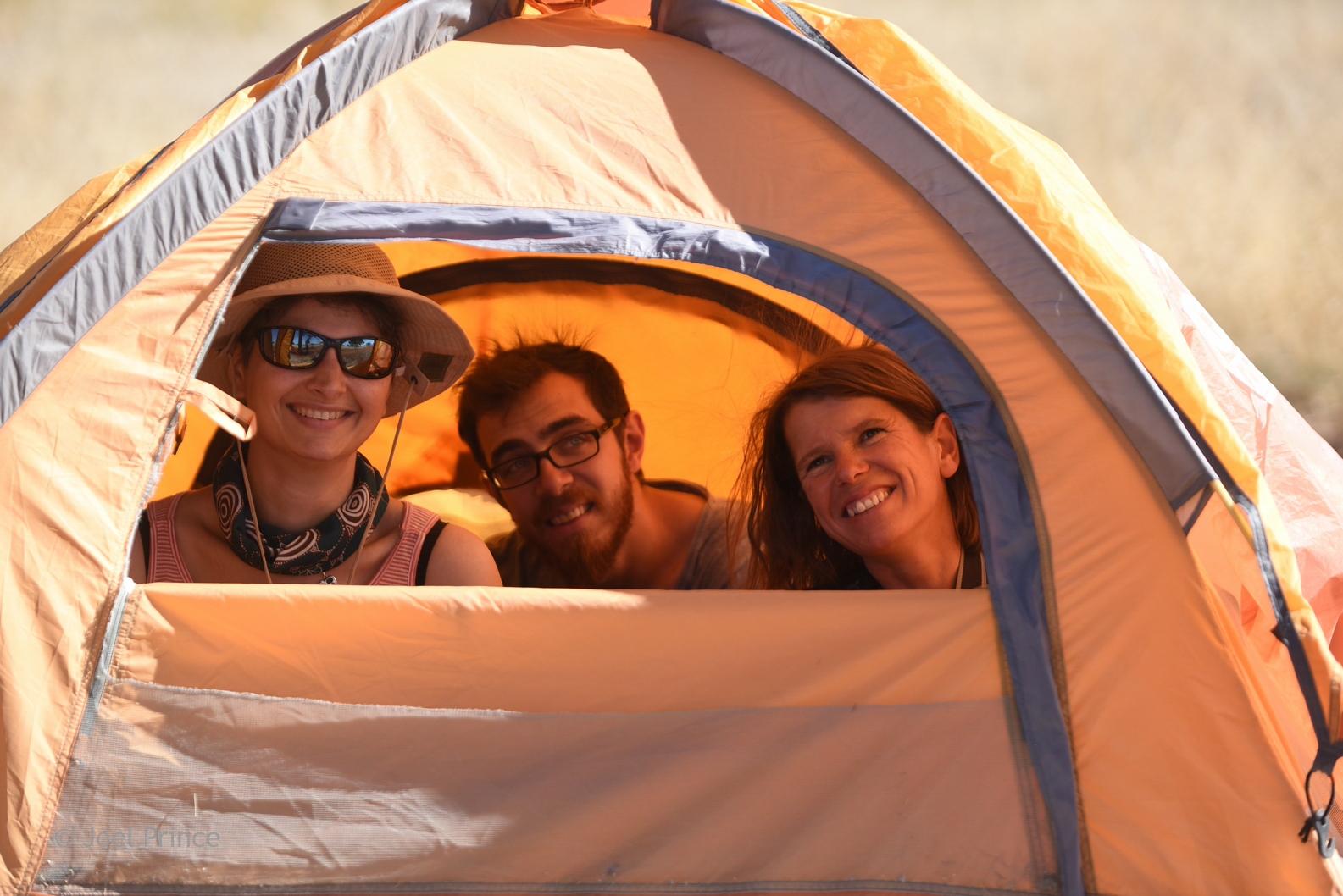 Team | Sociable Weaver Project