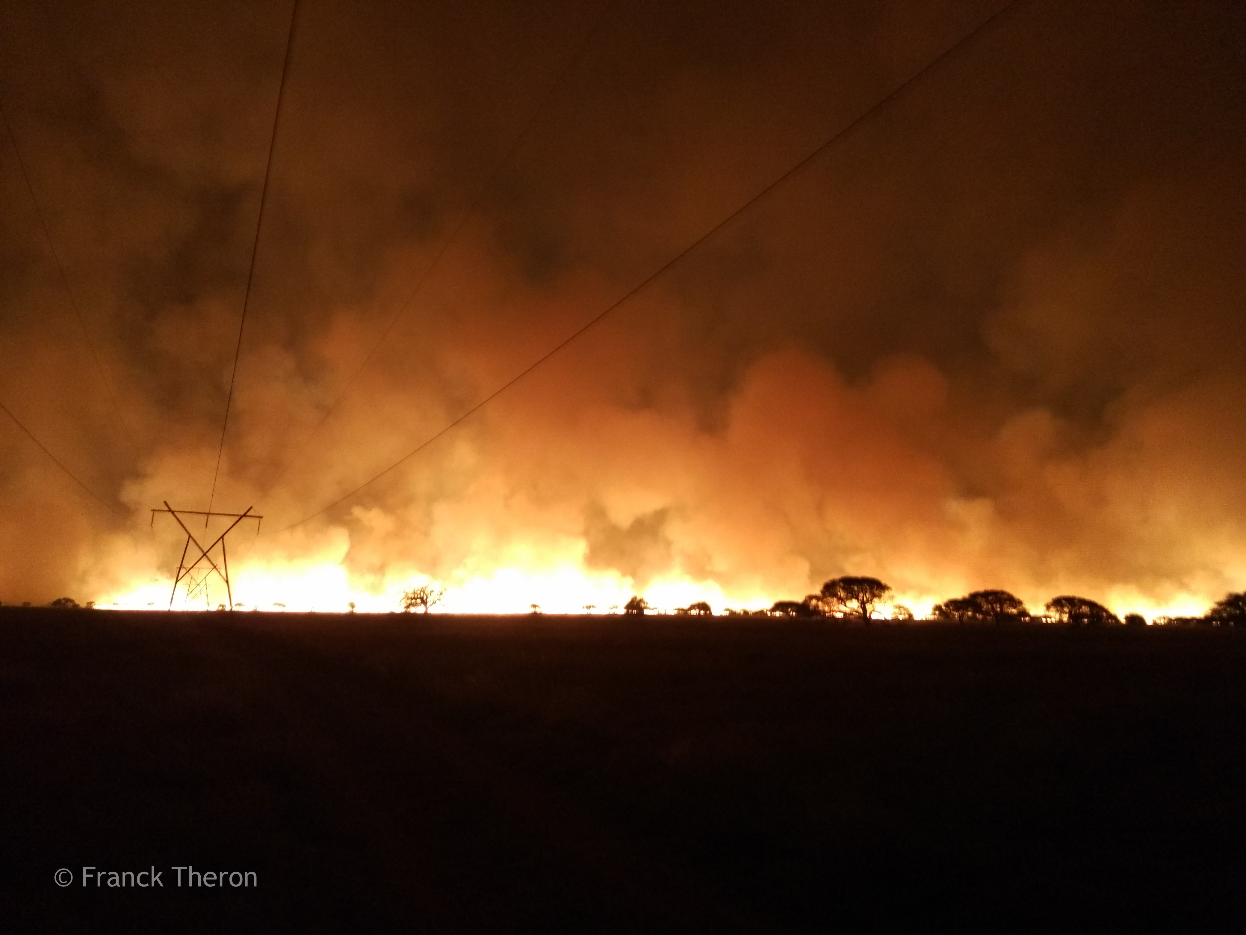 Research | Sociable Weaver Project